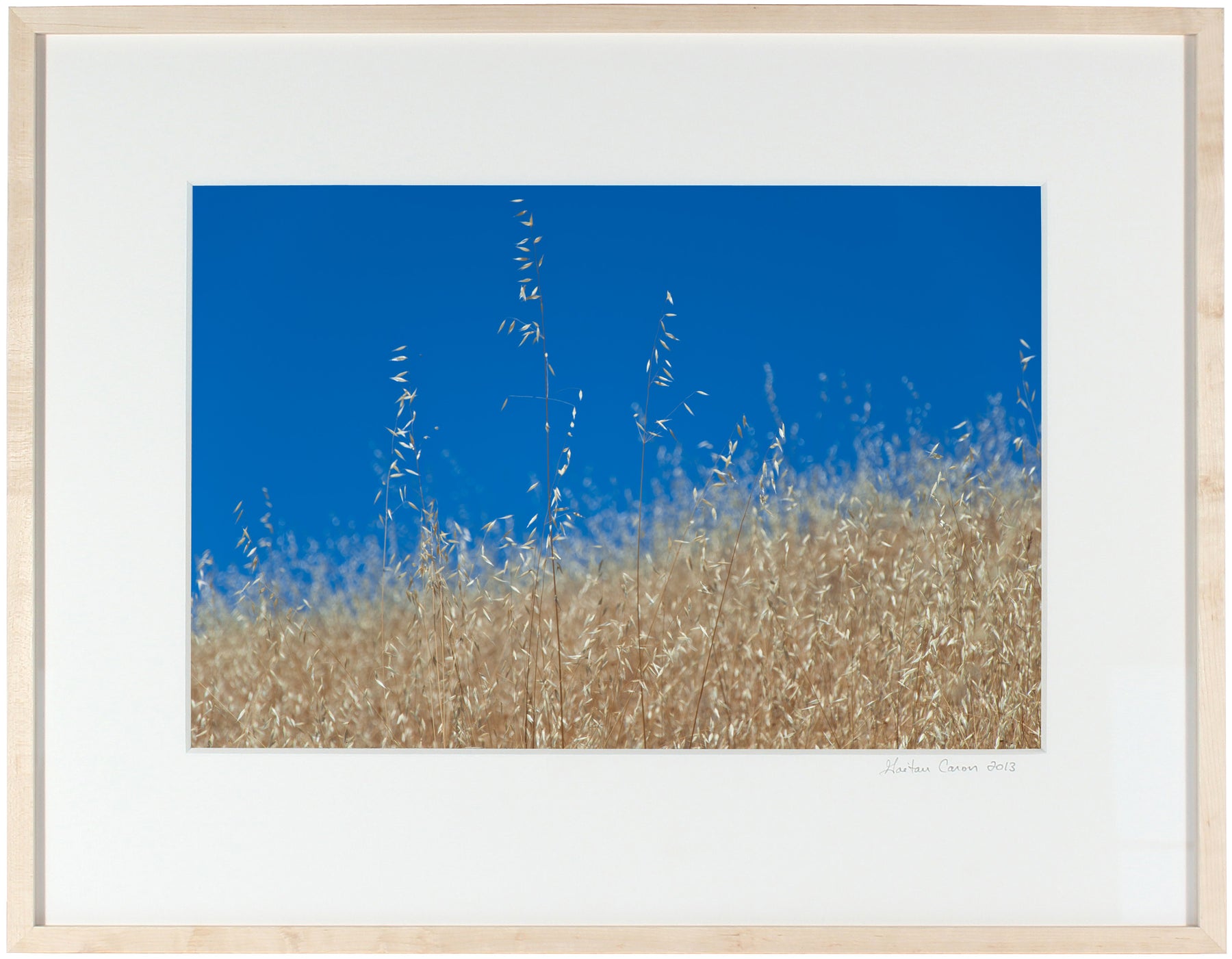 Gaetan Caron | "Golden Mendocino" California | Fine Art Photography ...