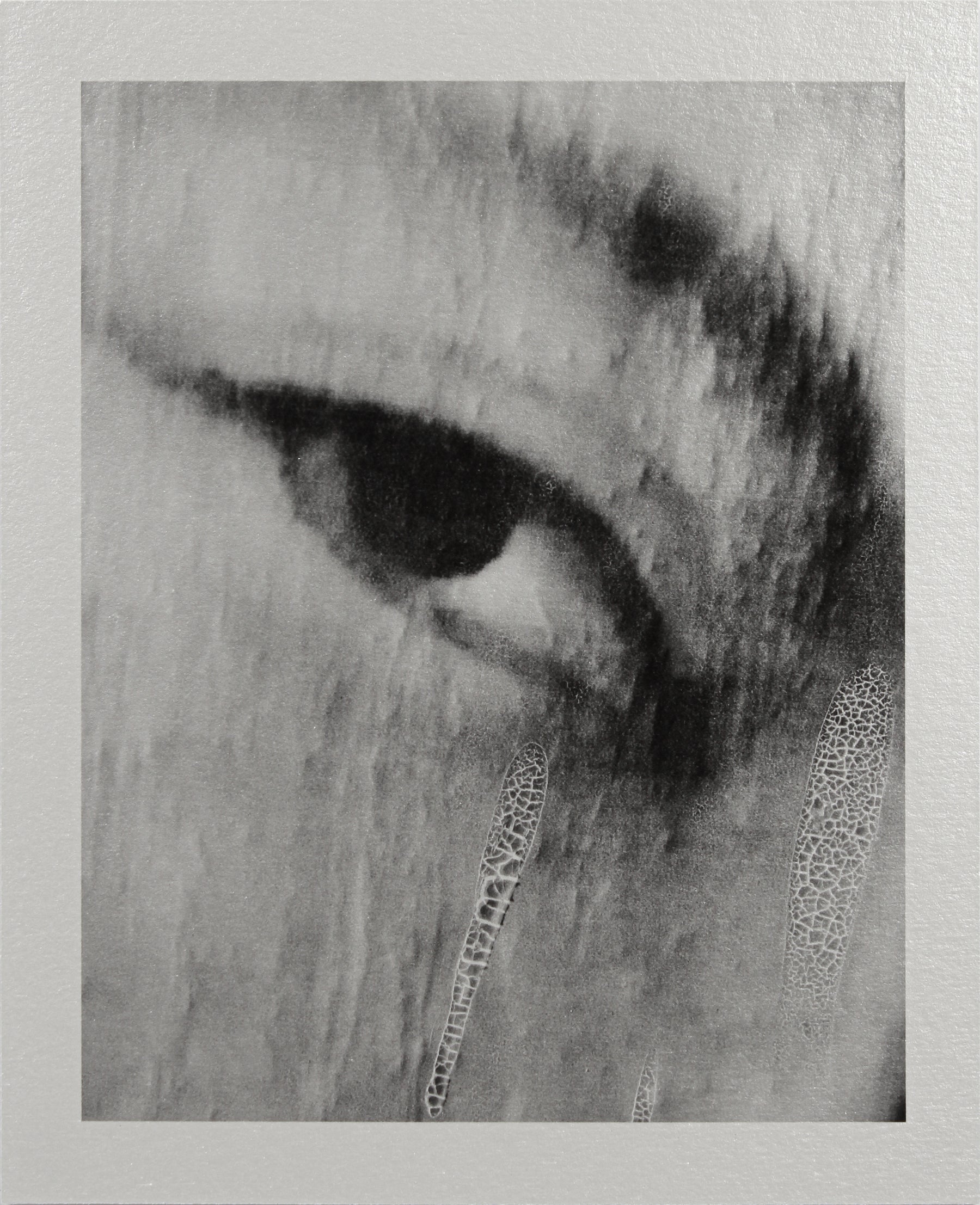 Gaétan Caron | 2019 Fine Art Photo | "Étoile de la mer" Paris, France ...