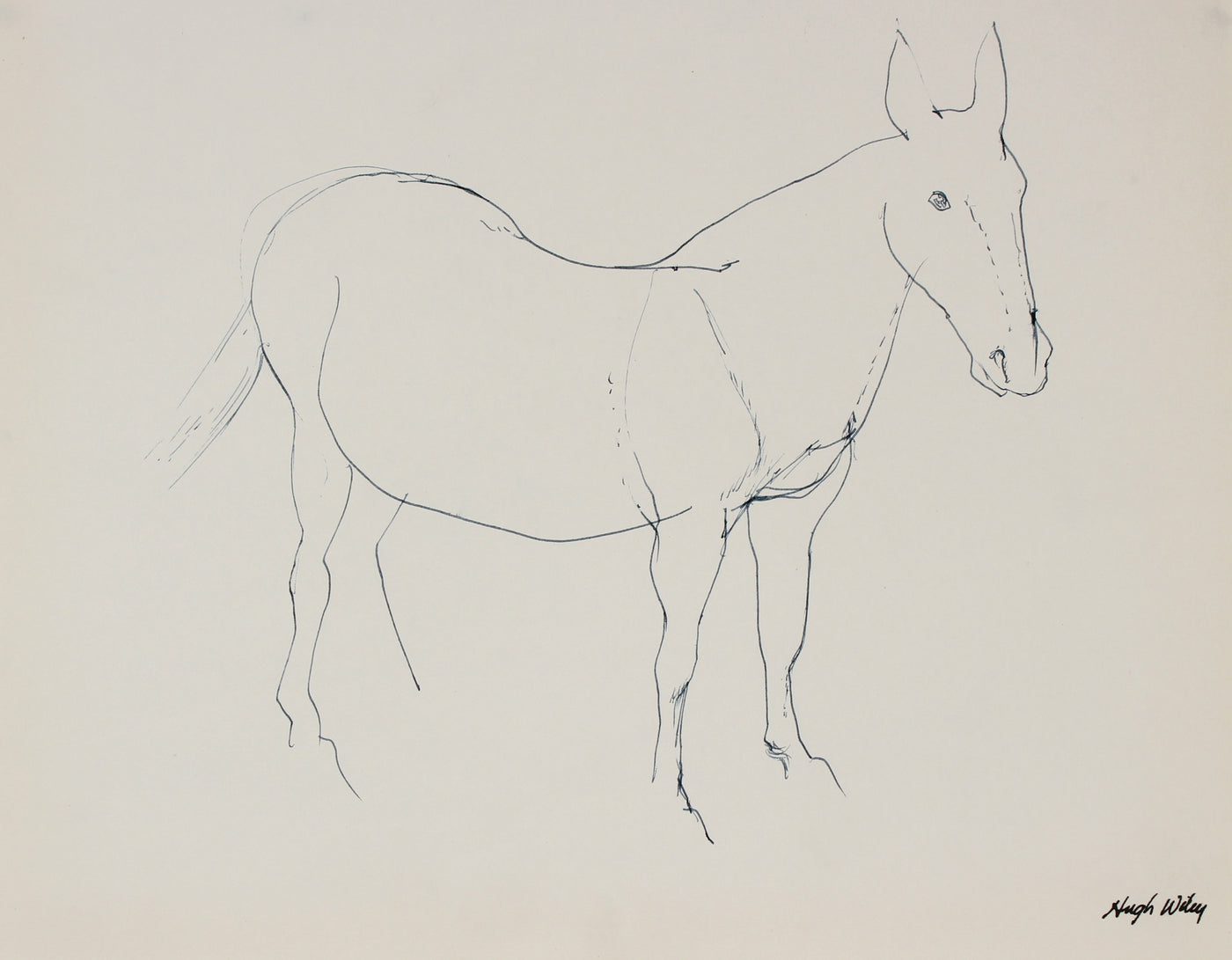 Hugh Wiley | Monochromatic Portrait Drawing | 1960-61 Graphite - Lost ...